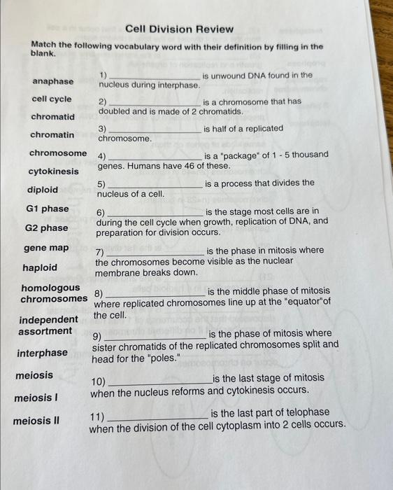 Solved Cell Division Review Match the following vocabulary | Chegg.com