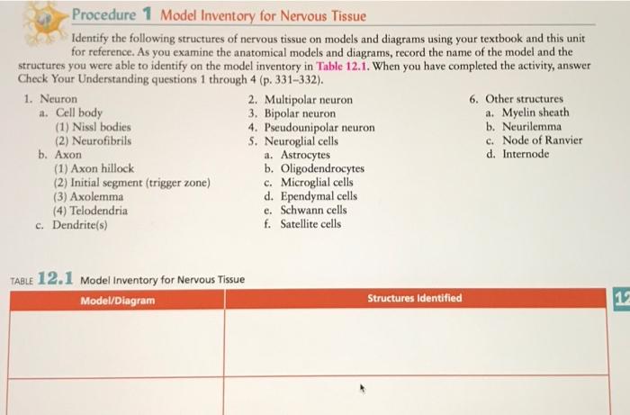 Solved Procedure 1 Model Inventory for Nervous Tissue | Chegg.com