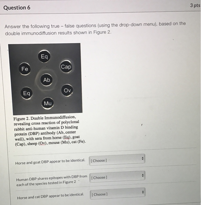 Solved 3pts Question 6 Answer the following true - false | Chegg.com