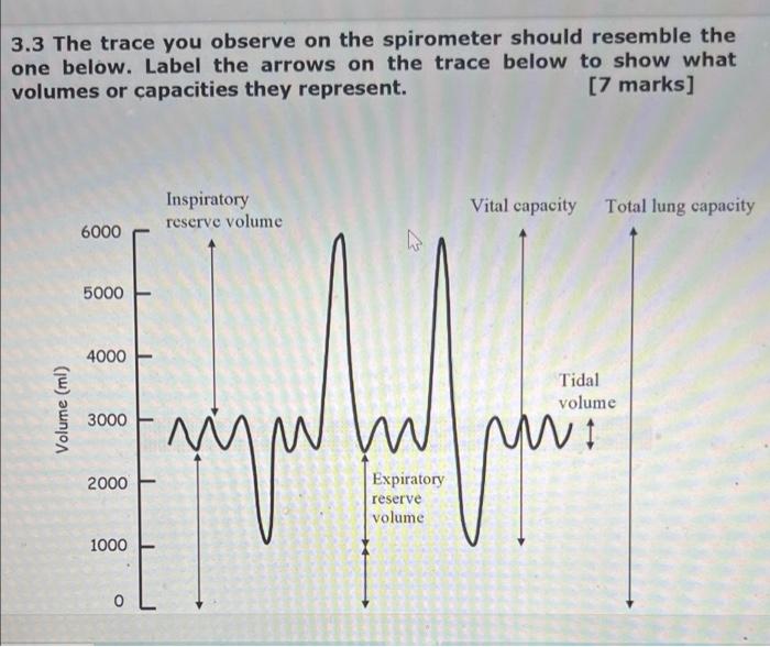 Solved 3.3 The trace you observe on the spirometer should | Chegg.com