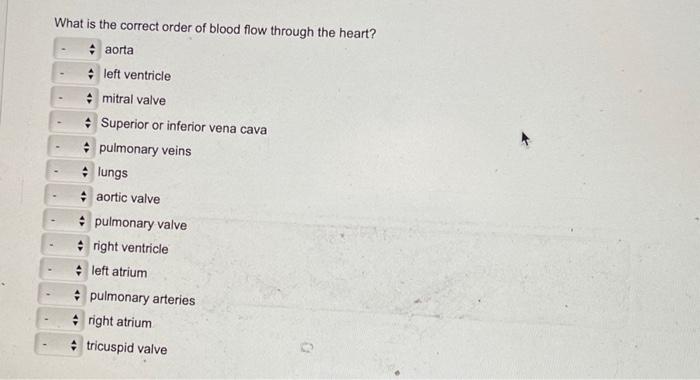 Solved What is the correct order of blood flow through the | Chegg.com