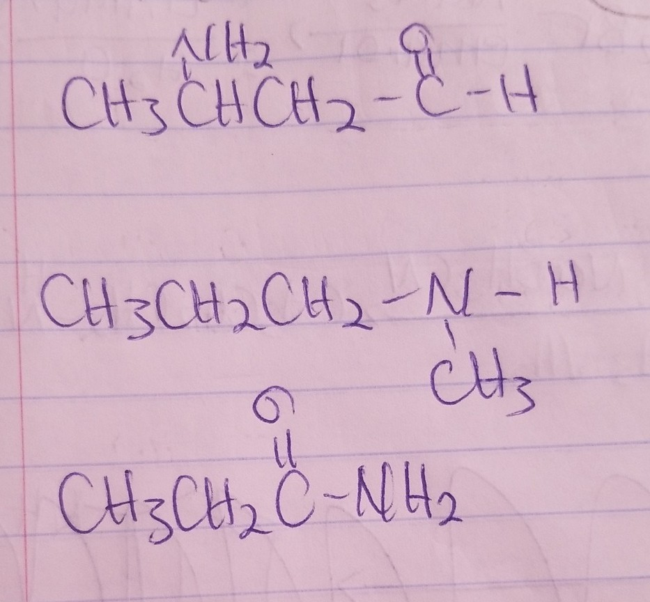 Solved CH3 CH CH2-E-H C CH3CH2 CH₂ -N-H CH3 CH₃ CH₂ C-NH2 2 | Chegg.com
