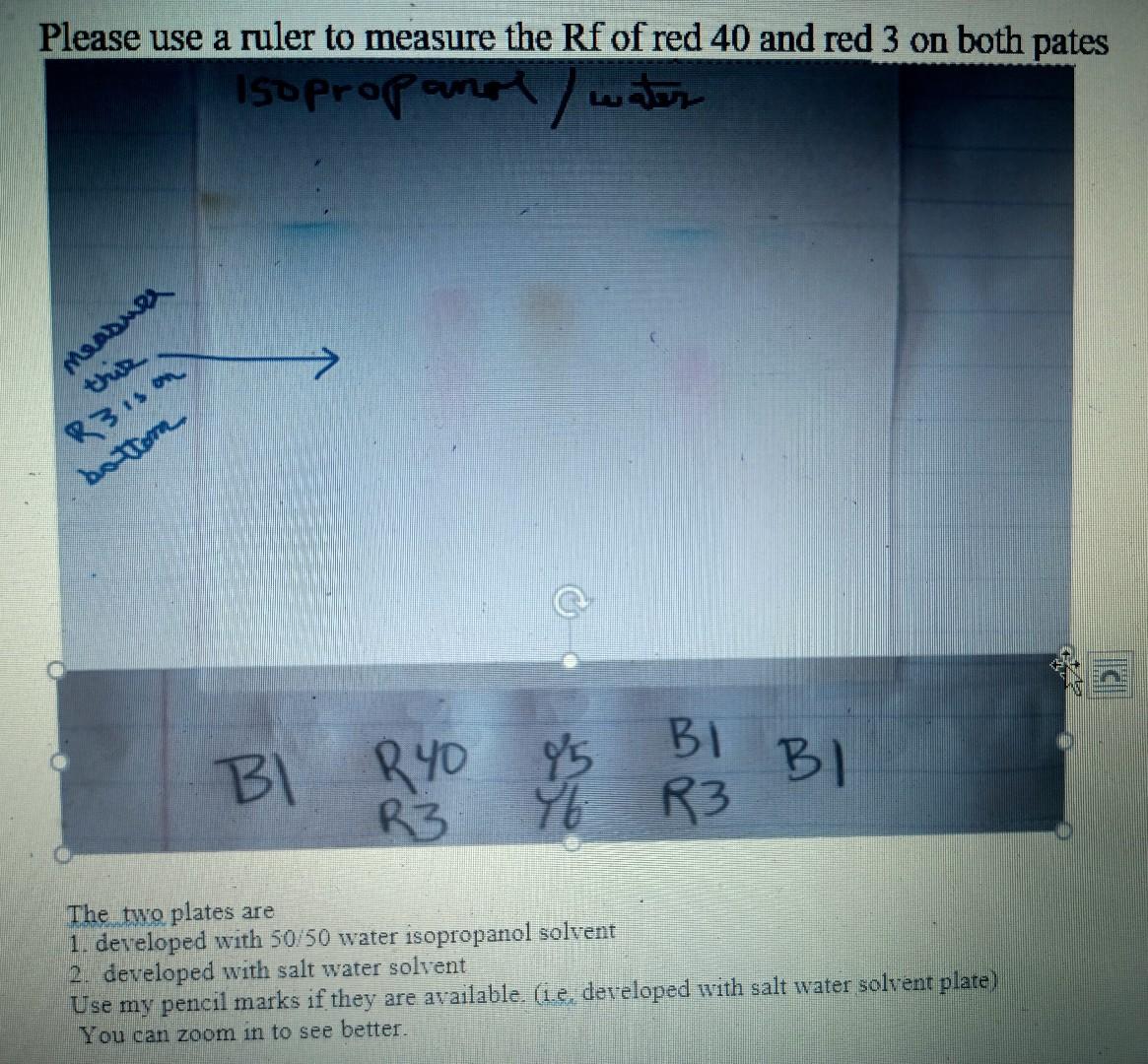 Please use a ruler to measure the Rf of red 40 and | Chegg.com