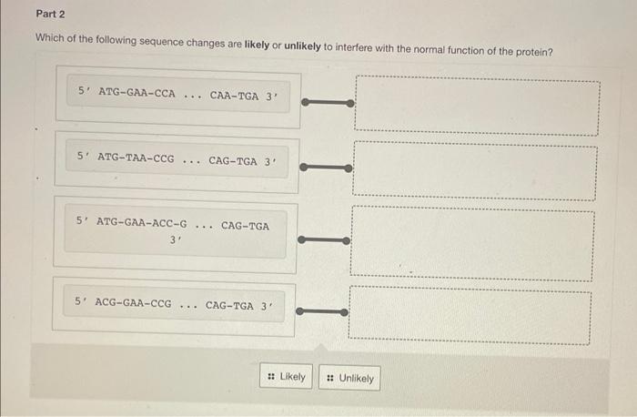 Solved 5. ATG-GAA-CCG ... CAG-TGA 3 , Each codon is | Chegg.com