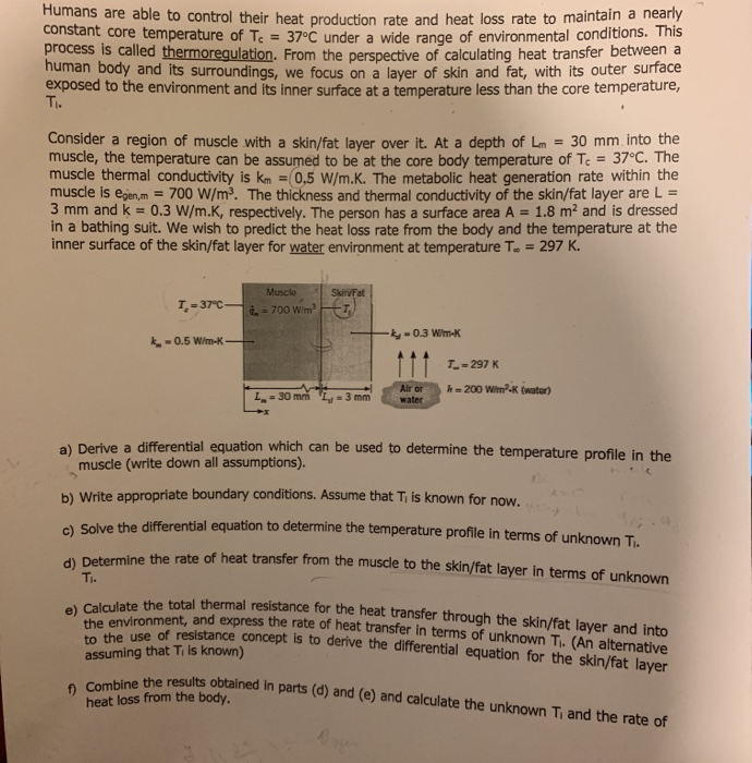 Solved Humans are able to control their heat production rate | Chegg.com