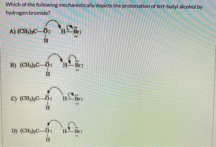 Solved Which of the following mechanistically depicts the | Chegg.com