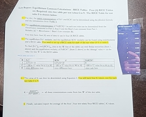 Solved Lab Report: Equilibrium Constant Calculations - ﻿RICE | Chegg.com