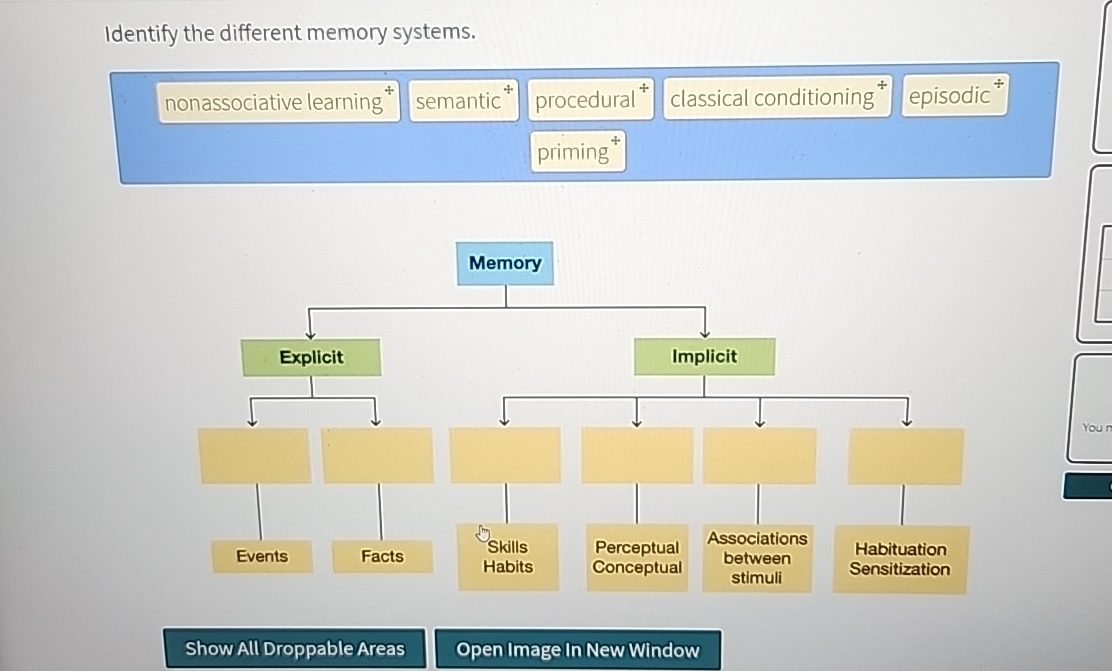 Solved Identify the different memory systems.semantic | Chegg.com