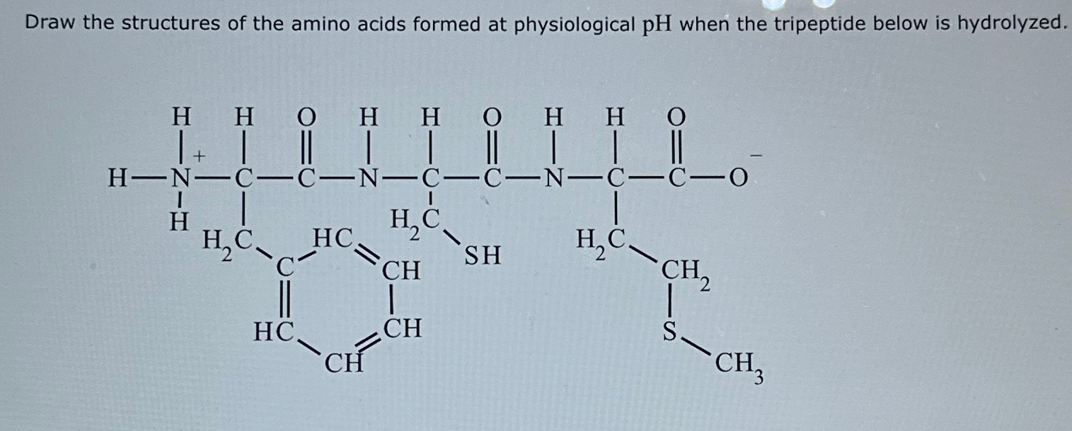 Solved Draw the structures of the amino acids formed at | Chegg.com