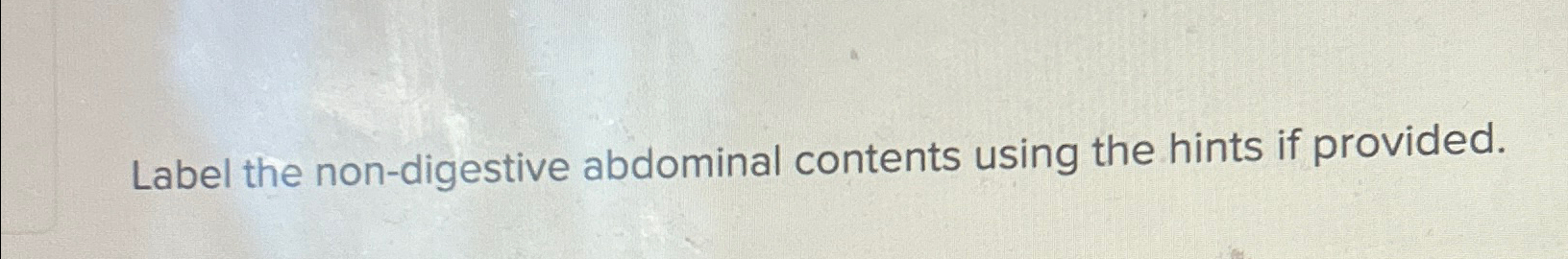 Solved Label the non-digestive abdominal contents using the | Chegg.com