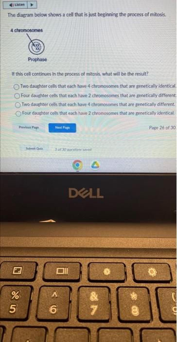 Solved Bacterial cells have the ability to divide every 20 | Chegg.com