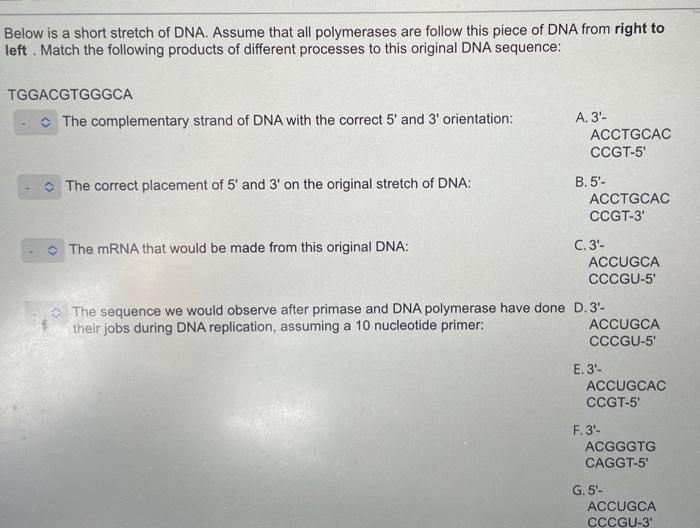 Solved Below is a short stretch of DNA. Assume that all | Chegg.com