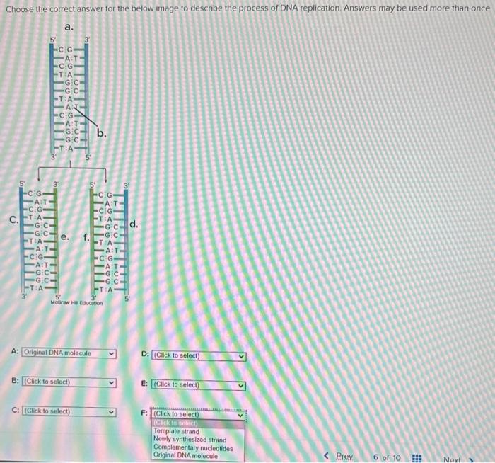 Solved Choose The Correct Answer For The Below Image To