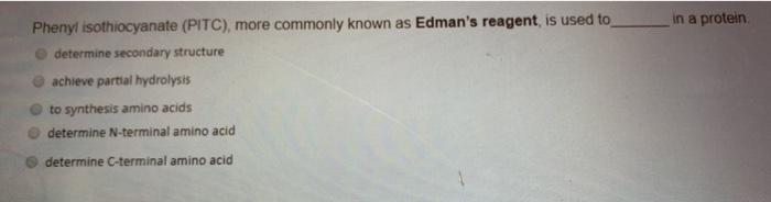 Solved in a protein Phenyl isothiocyanate (PITC), more | Chegg.com