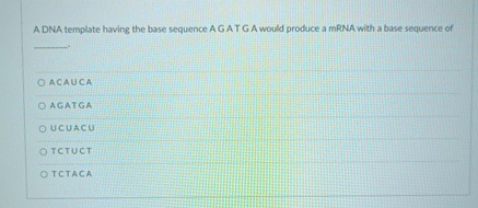 Solved A DNA template having the base sequence A G A T G A | Chegg.com