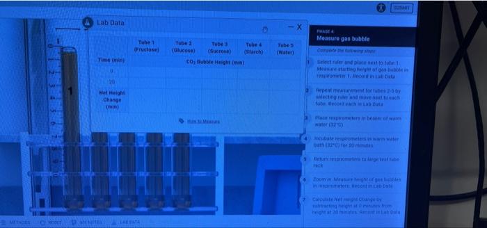 MI Lab Data х PASE Measure gas bubble Tube Fructose | Chegg.com