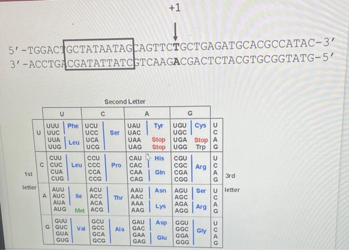 Solved a) b) chose the correct one of the | Chegg.com Solved a) b) chose the correct one of the | Chegg.com