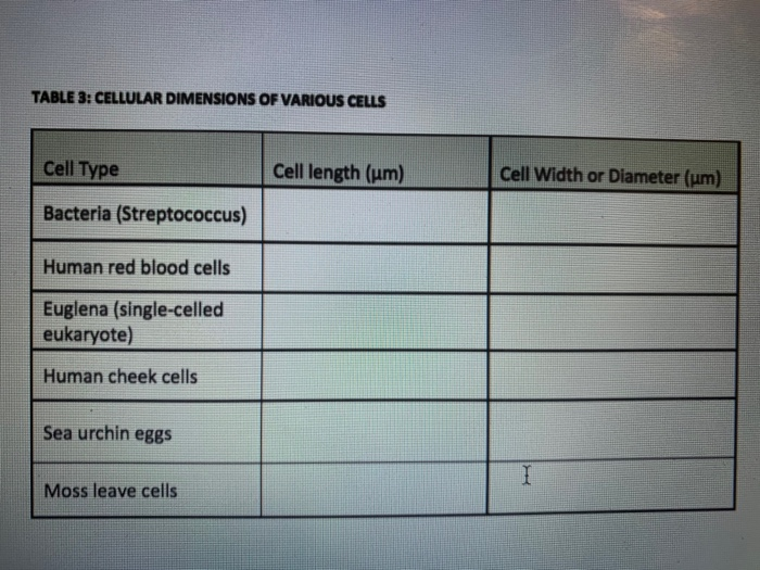 Solved SECTION B: CELLULAR MEASUREMENTS EXERCISE 5: | Chegg.com