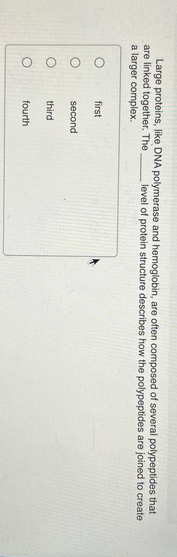 Solved Large proteins, like DNA polymerase and hemoglobin, | Chegg.com