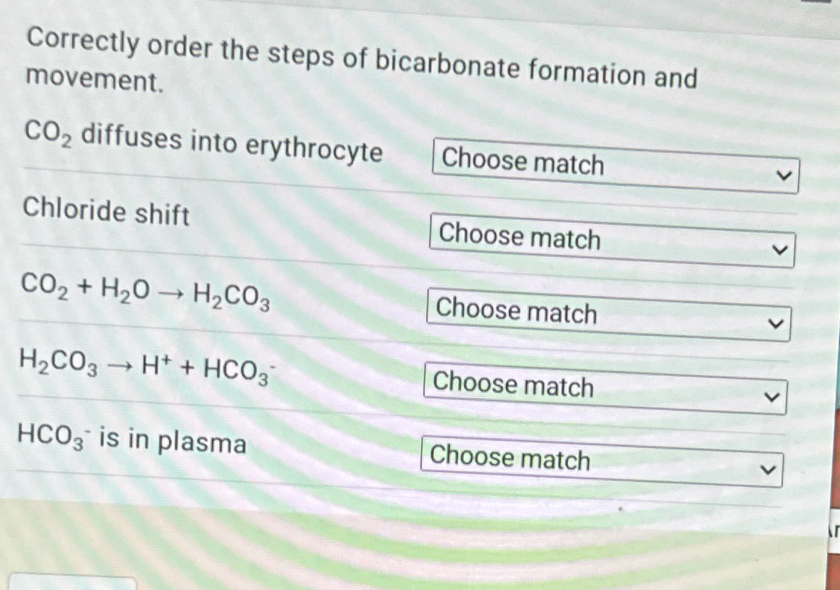 Solved Correctly order the steps of bicarbonate formation | Chegg.com