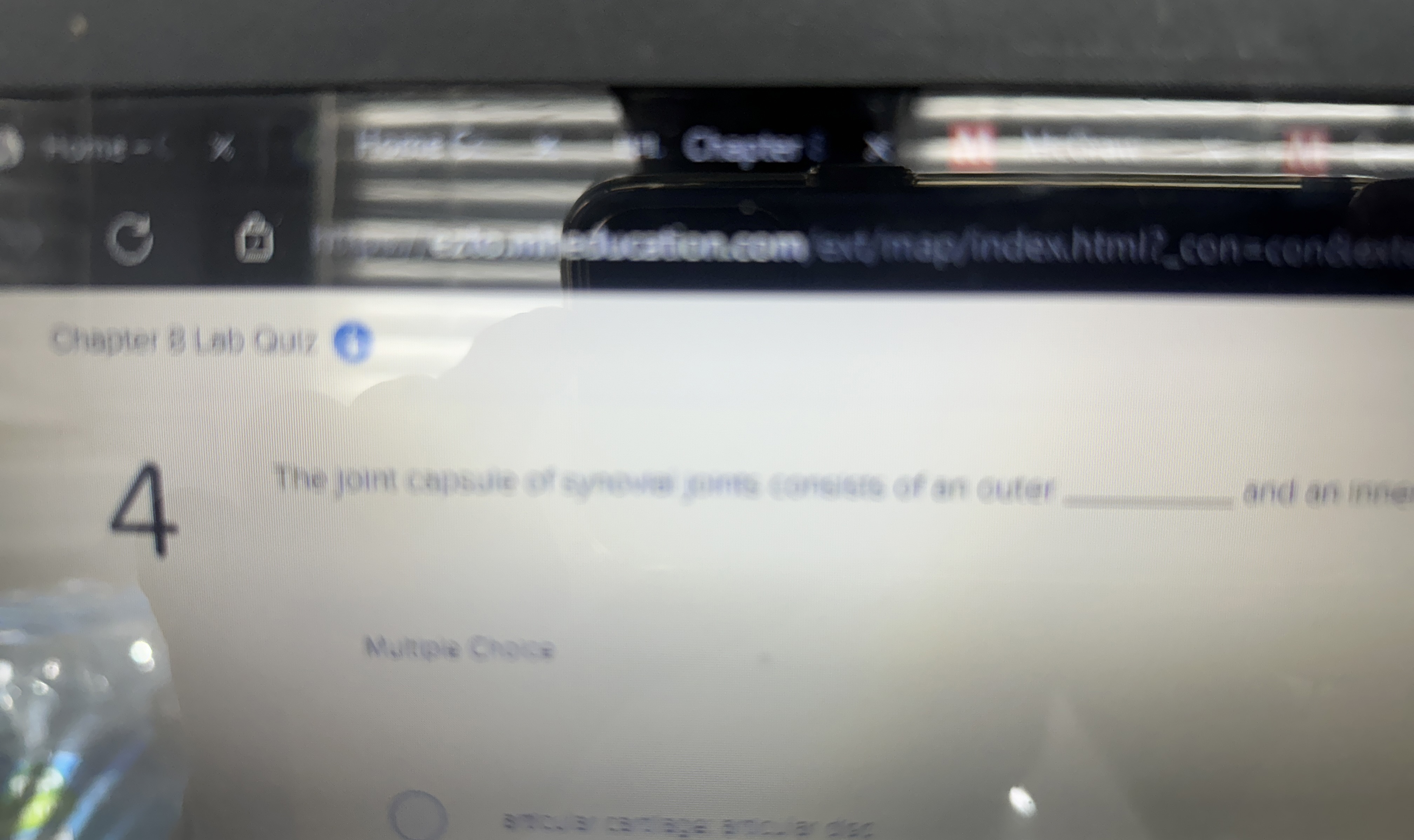 Solved The joint capsule of synovial joint consists of an | Chegg.com