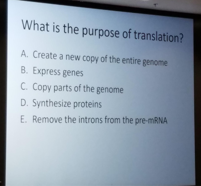 Solved What is the purpose of translation? A. Create a new | Chegg.com