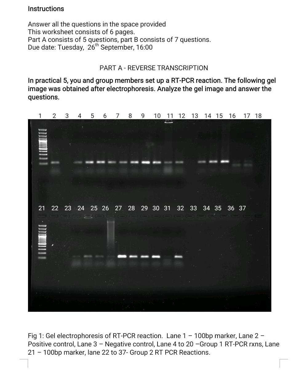 Solved 1. Based on map of the pGLO plasmid, what are the 3 | Chegg.com