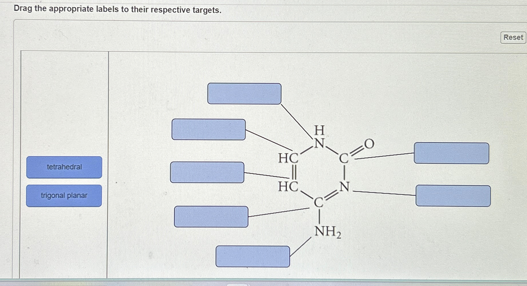 Solved Drag the appropriate labels to their respective | Chegg.com