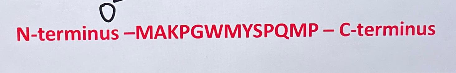 Solved N-terminus -MAKPGWMYSPQMP - ﻿C-terminus | Chegg.com