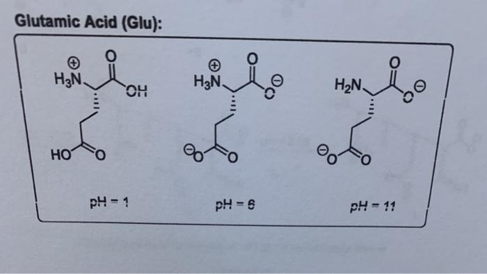 Solved Glutamic Acid (Glu): HEN. H3N. OH How do HO O 0 pH = | Chegg.com