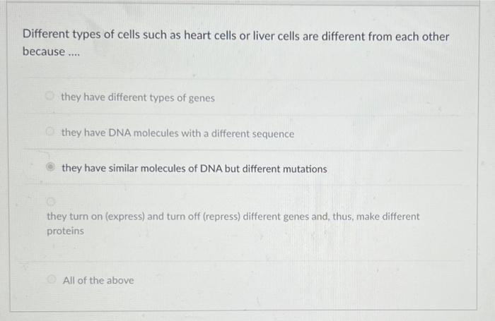 Solved The non-coding DNA strand of a portion of a gene | Chegg.com