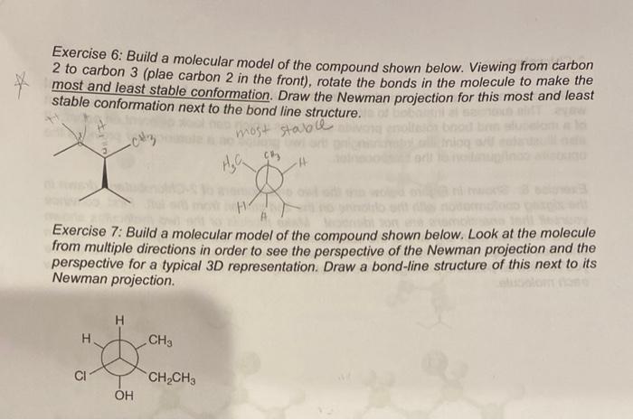 Solved Exercise 6: Build a molecular model of the compound | Chegg.com