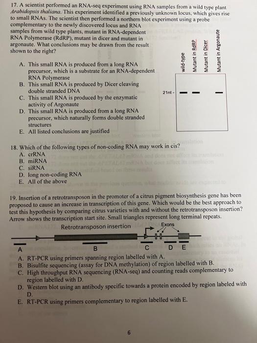 17. A scientist pertormed an RNA-seq experiment using | Chegg.com