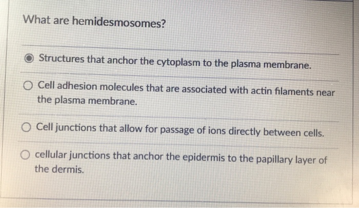 Solved What are hemidesmosomes? Structures that anchor the | Chegg.com