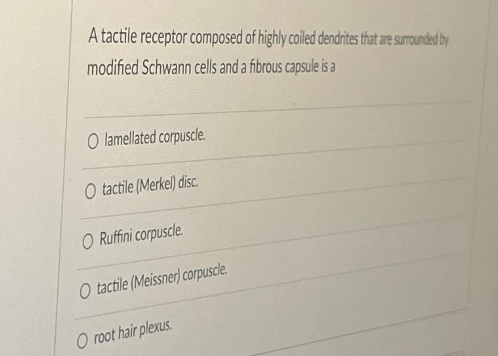 Solved A tactile receptor composed of highly coiled | Chegg.com