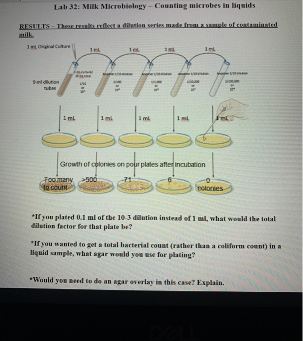 Solved Lab 32: Milk Microbiology - Counting microbes in | Chegg.com