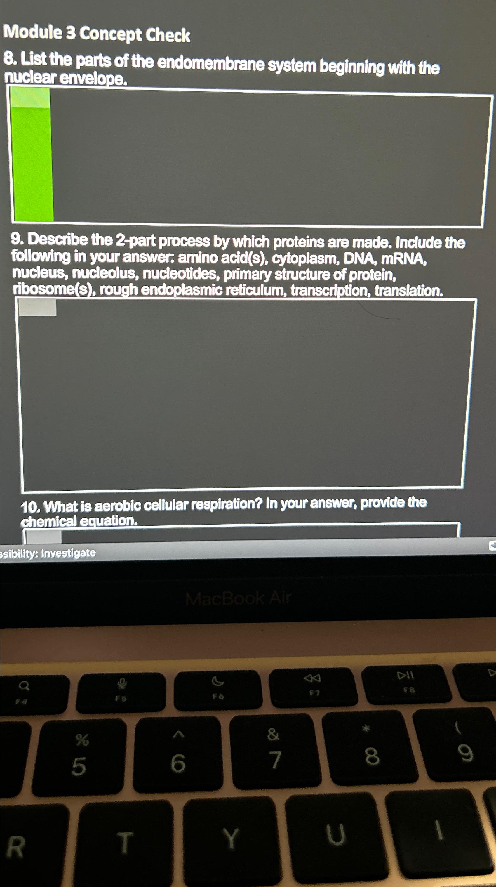 Solved Module 3 ﻿Concept Check8. ﻿List the parts of the | Chegg.com
