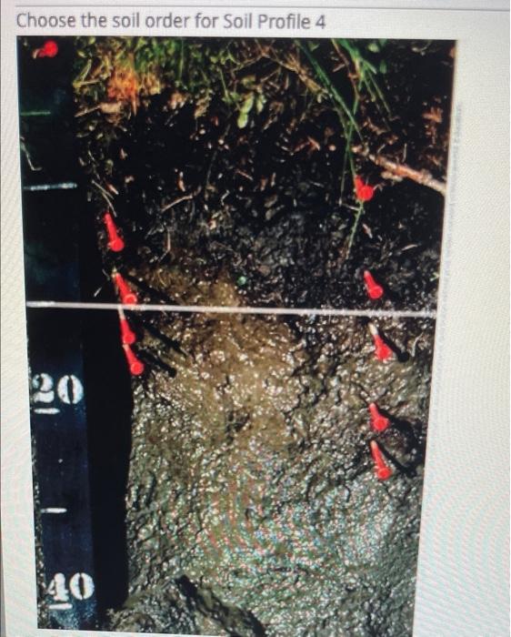 Solved Choose the soil order for Soil Profile 4 40 A | Chegg.com