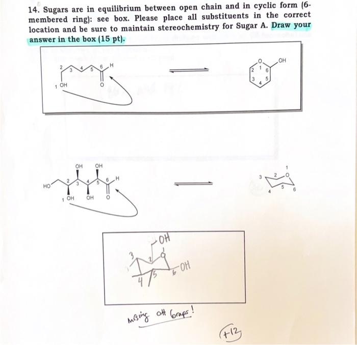 Solved 14. Sugars are in equilibrium between open chain and | Chegg.com