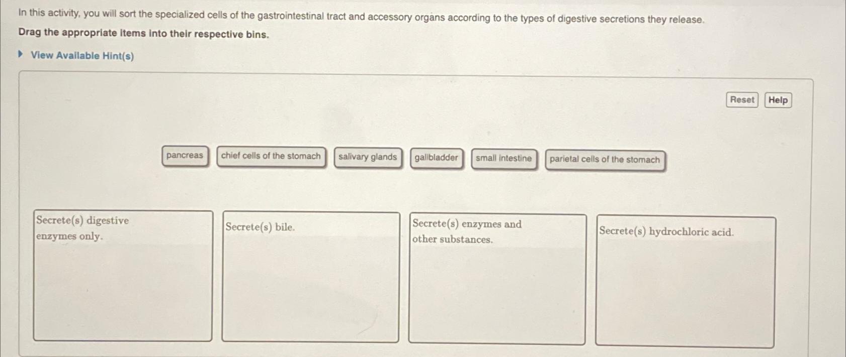 Solved In this activity, you will sort the specialized cells | Chegg.com