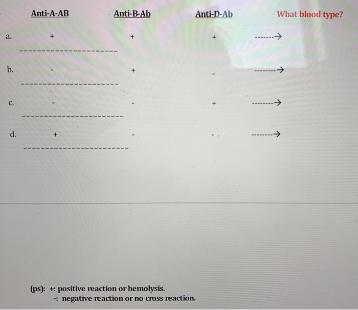 Solved Anti-A-AB Anti-B-Ab Anti-D-Ab What blood type? a. + + | Chegg.com