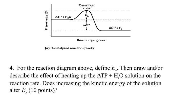 Atp Energy Diagram