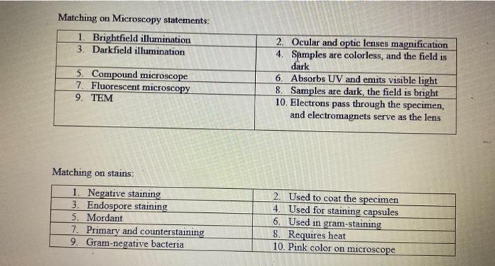 Solved Matching on Microscopy statements: Matching on | Chegg.com