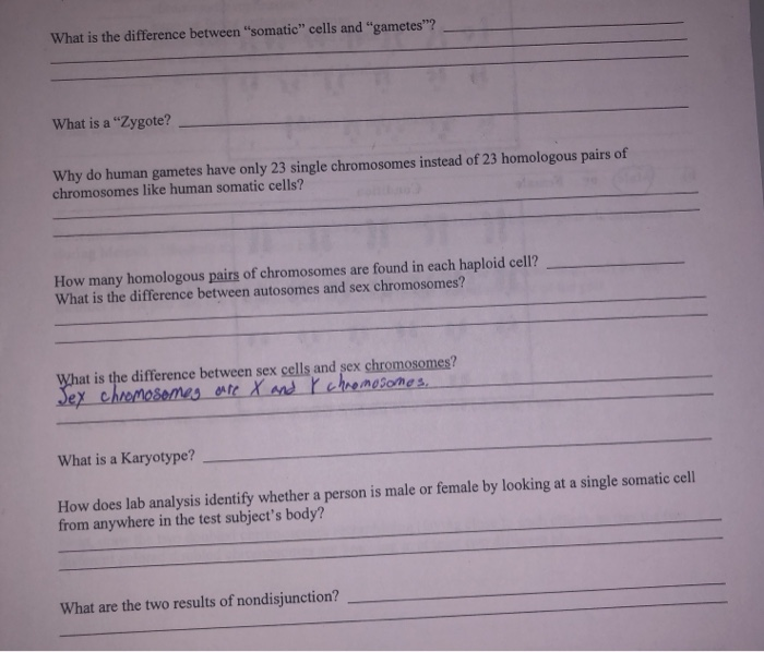 Solved What is the difference between "somatic" cells and | Chegg.com