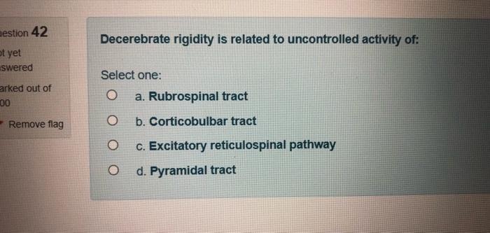 Solved Destion 42 Decerebrate rigidity is related to | Chegg.com