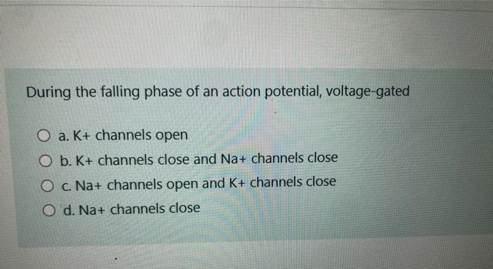 Solved During the falling phase of an action potential, | Chegg.com