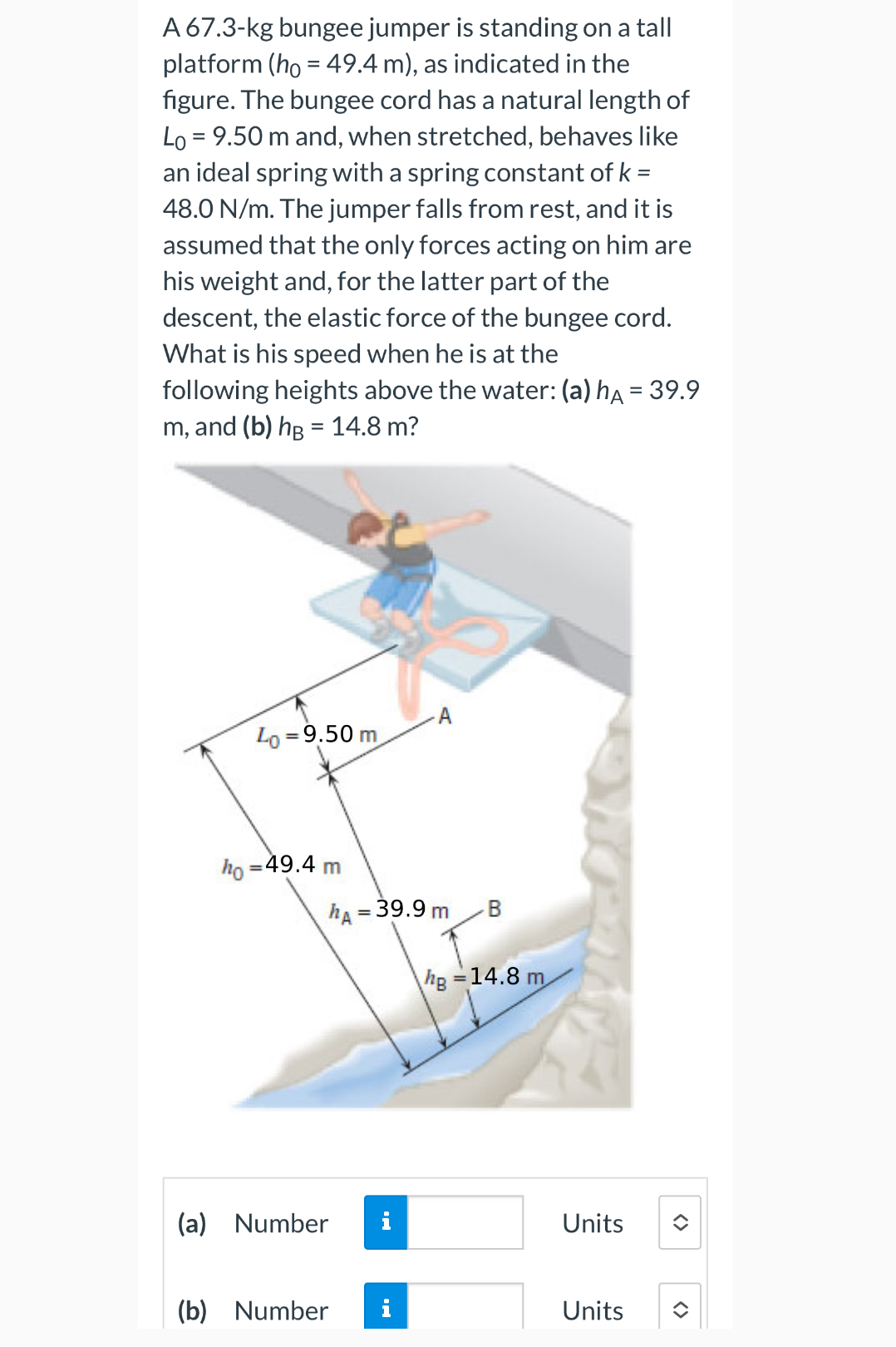 Solved A 67.3-kg bungee jumper is standing on a tall | Chegg.com