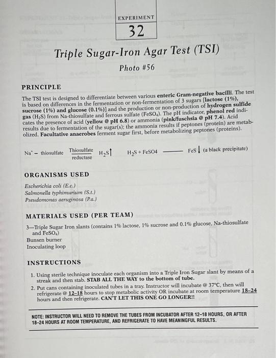 Solved EXPERIMENT 32 Triple Sugar-Iron Agar Test (TSI) Photo | Chegg.com