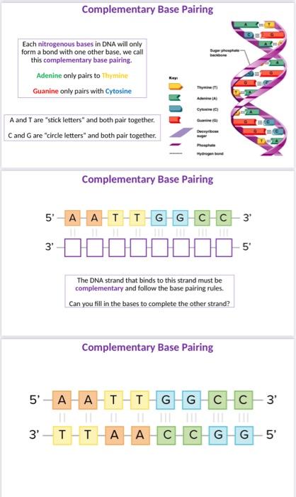 Solved Biology BI-115 (lab for BI-110) DNA and Protein | Chegg.com