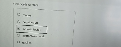 Solved Chief cells secretemucus.pepsinogenintrinsic | Chegg.com